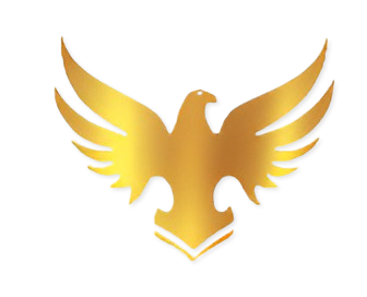 ASR Aviation | Premium Private Jet Charter Services